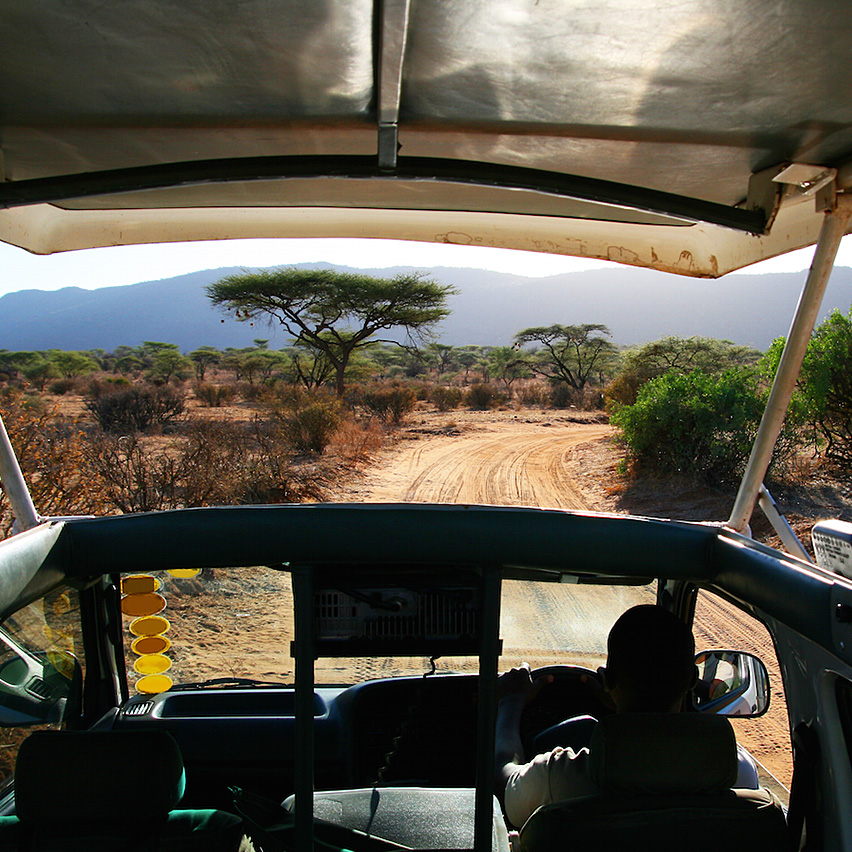 Tailor Made Safaris Services | Paramount Safaris